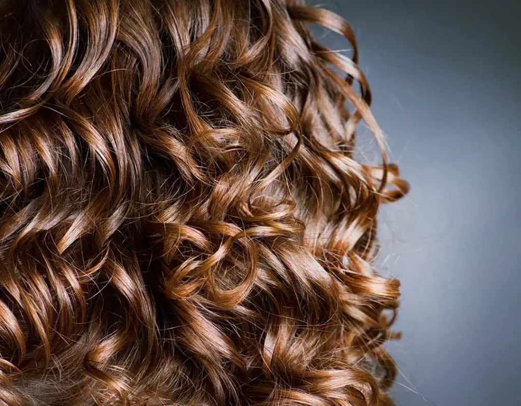 Why Your Curl Type Doesn't Matter - Up On Beauty Why Your Curl Type Doesn't Matter - Up On Beauty